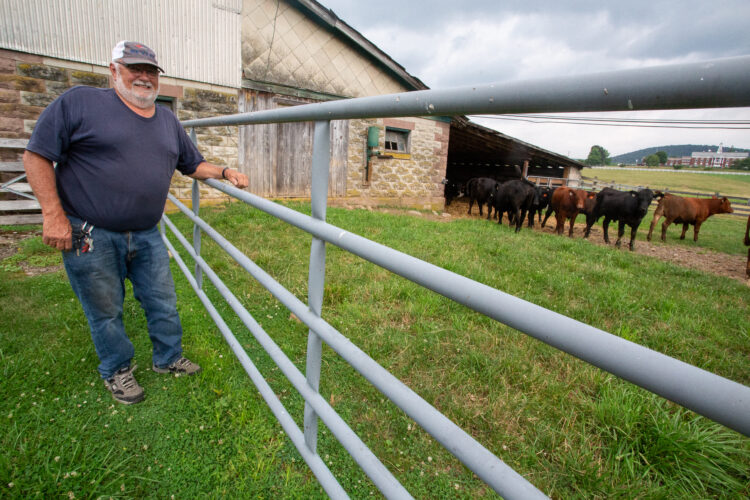 Nearly 100-year-old County Farm could prepare future farmers | News ...